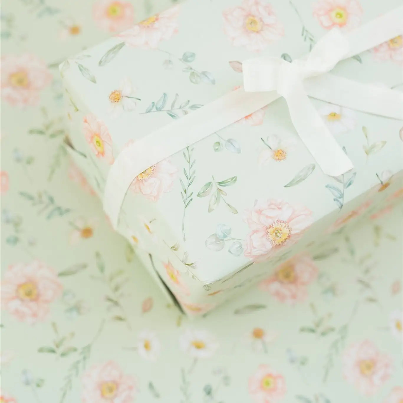 Fresh Poppies Gift Wrap (Roll) – Hitchcock Paper Co.