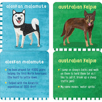 All the Dogs Lunch Box Notes for Kids – Hitchcock Paper Co.