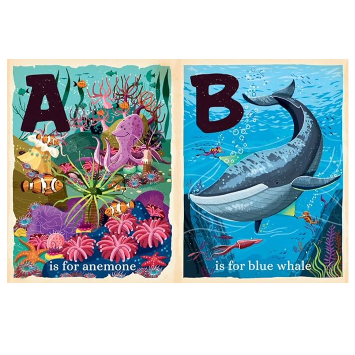 O is for Ocean – Hitchcock Paper Co.