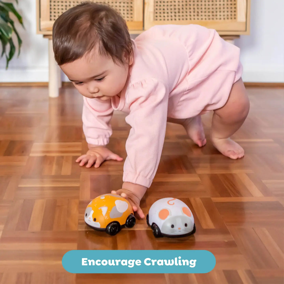 Zoomies - Cat and Mouse – Hitchcock Paper Co.